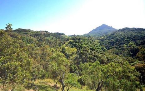 Perfect privacy and valley views, walking distance to Gaucin village