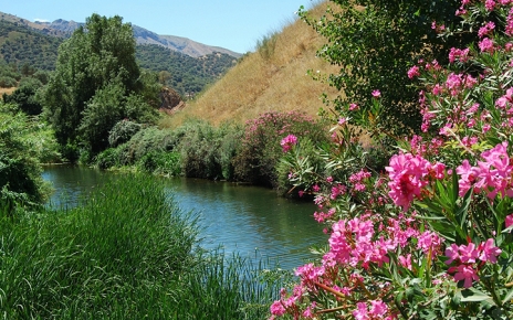 Holidays in the Ronda Mountains, Andalucia | Your holiday guide